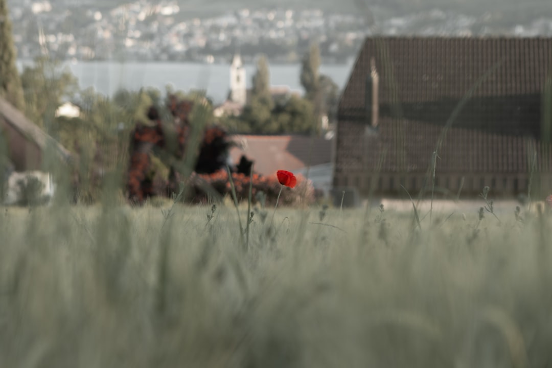 Erigon Szirup: Hatékony Köptető A Megfázás Ellen